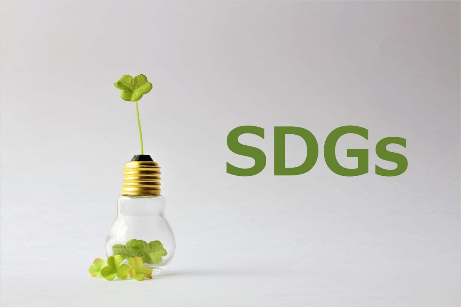 SDGs 11の取り組み事例を紹介！「住み続けられるまちづくりを」目指そう - accel.