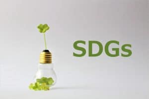 SDGs 11の取り組み事例を紹介！「住み続けられるまちづくりを」目指そう - accel.