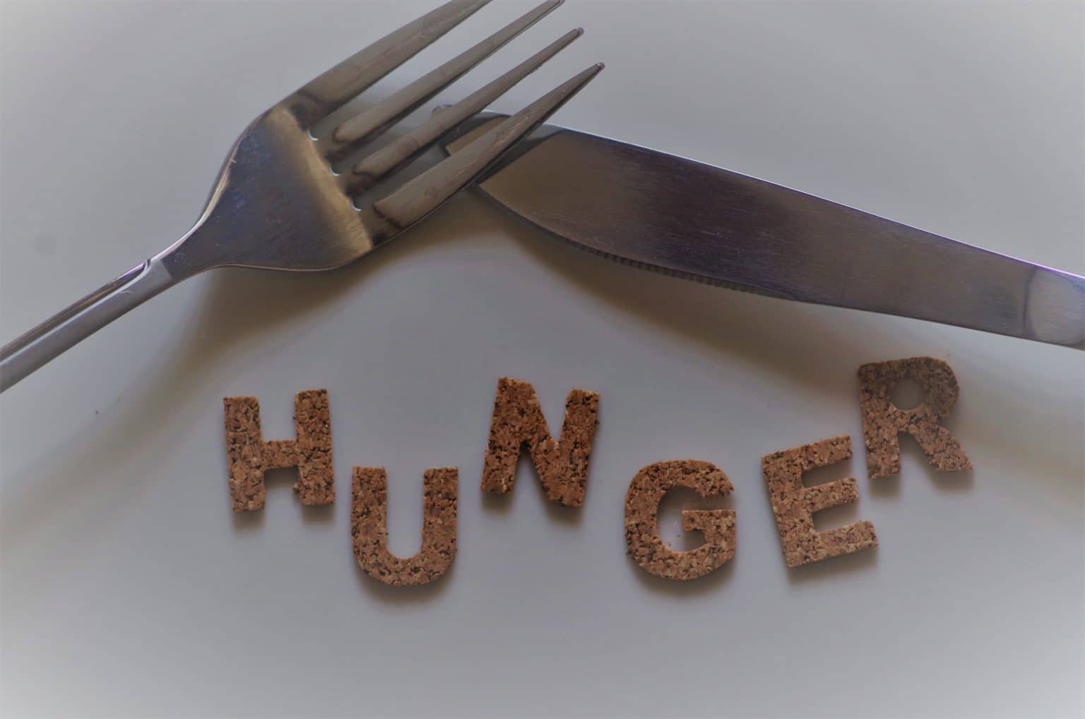 SDGs目標2「飢餓をゼロに」の現状と問題点、取り組み事例を解説 - accel.