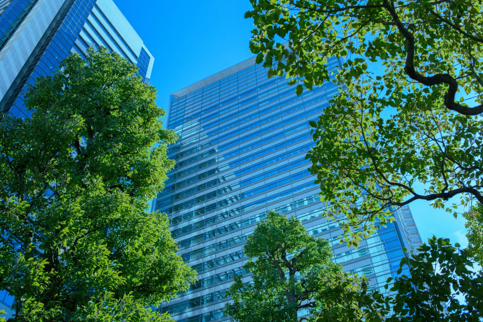 CBAM（炭素国境調整措置）をわかりやすく解説！企業が知っておくべき影響と対応策 - accel.