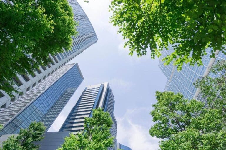 【2025年最新】SSBJのサステナビリティ開示基準と企業が取るべき対応をわかりやすく解説！ - accel.