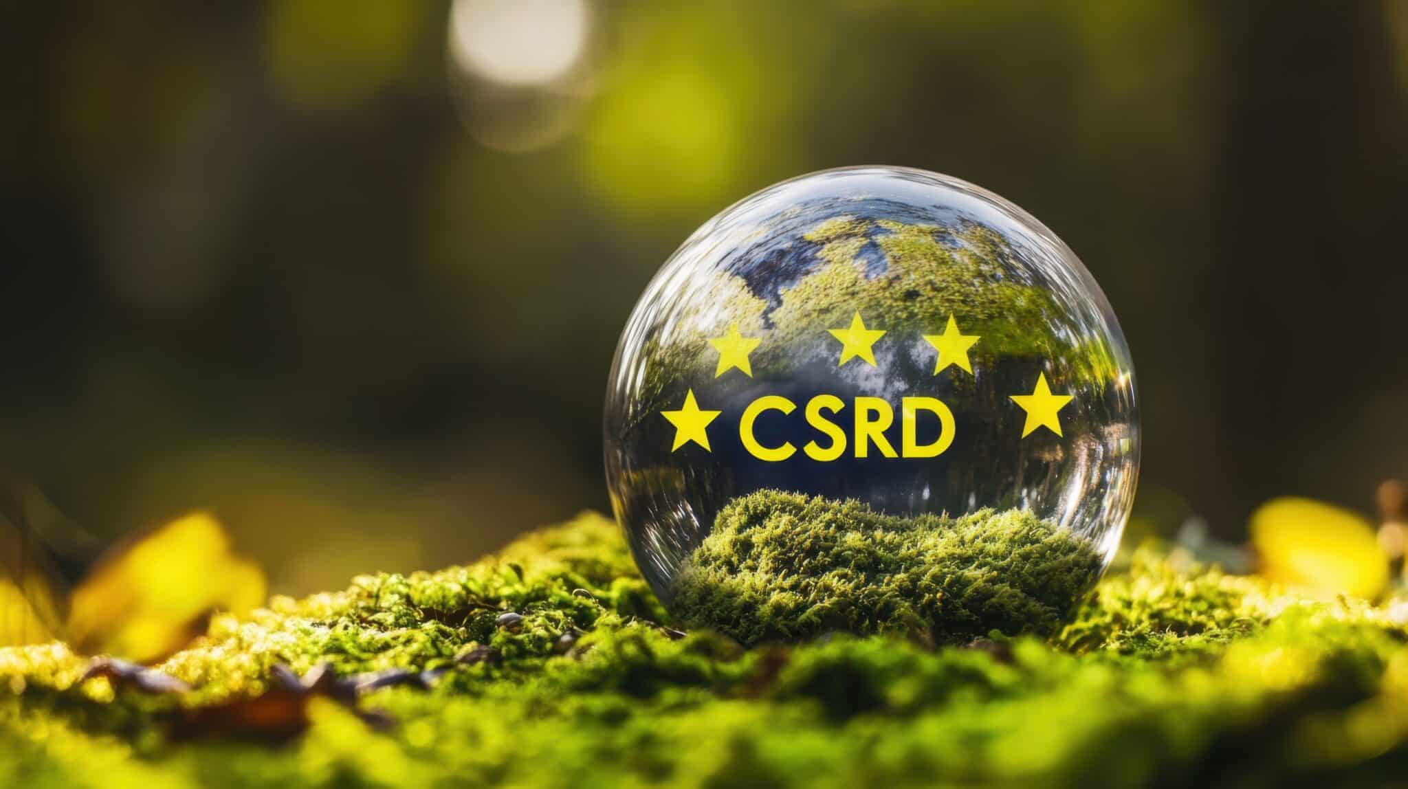 CSRDとは？EU域内で活動する日本企業が知るべき開示項目と準備のポイント - accel.